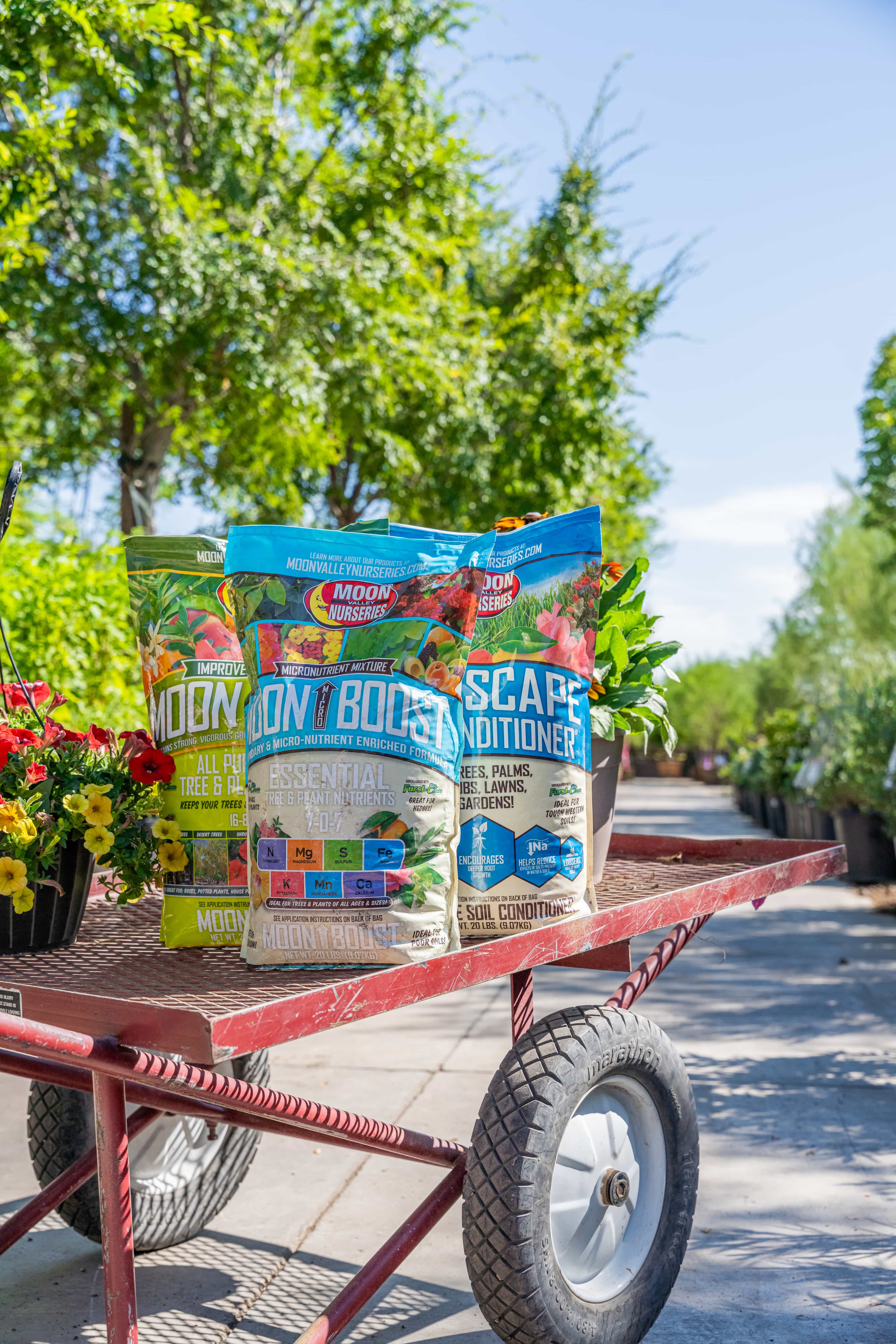 Premium Tree & Plant Specials | Moon Valley Nurseries