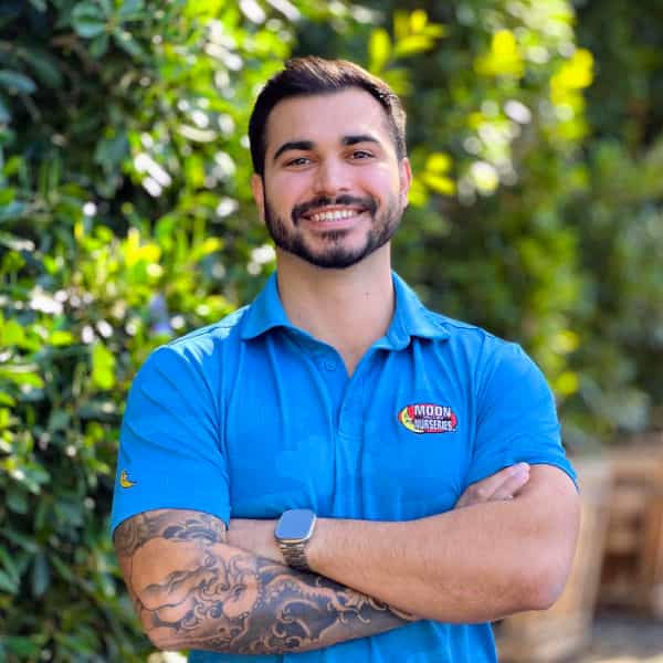 Hollywood, CA | Moon Valley Nurseries