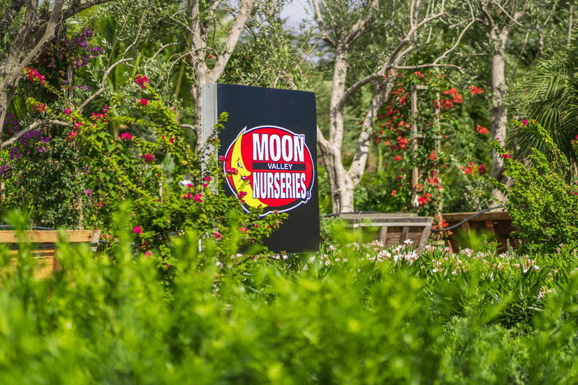 View Upcoming Events at Moon Valley Nurseries