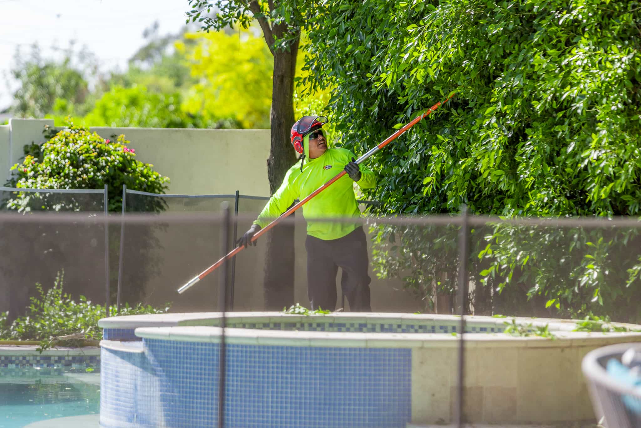 Premium Tree & Plant Nursery | Moon Valley Nurseries