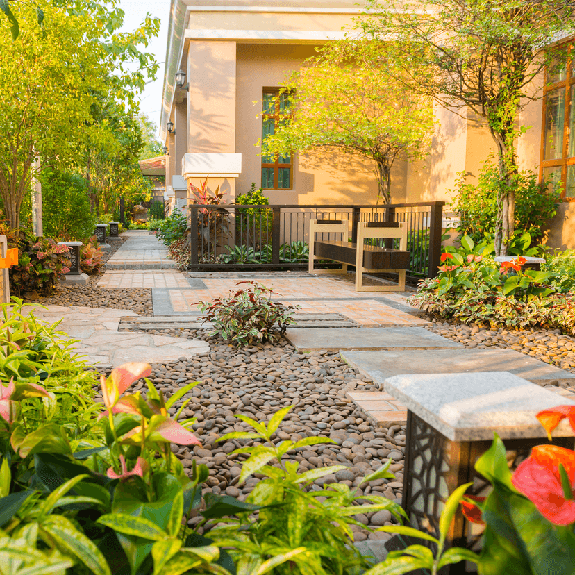 Premium Tree & Plant Specials | Moon Valley Nurseries