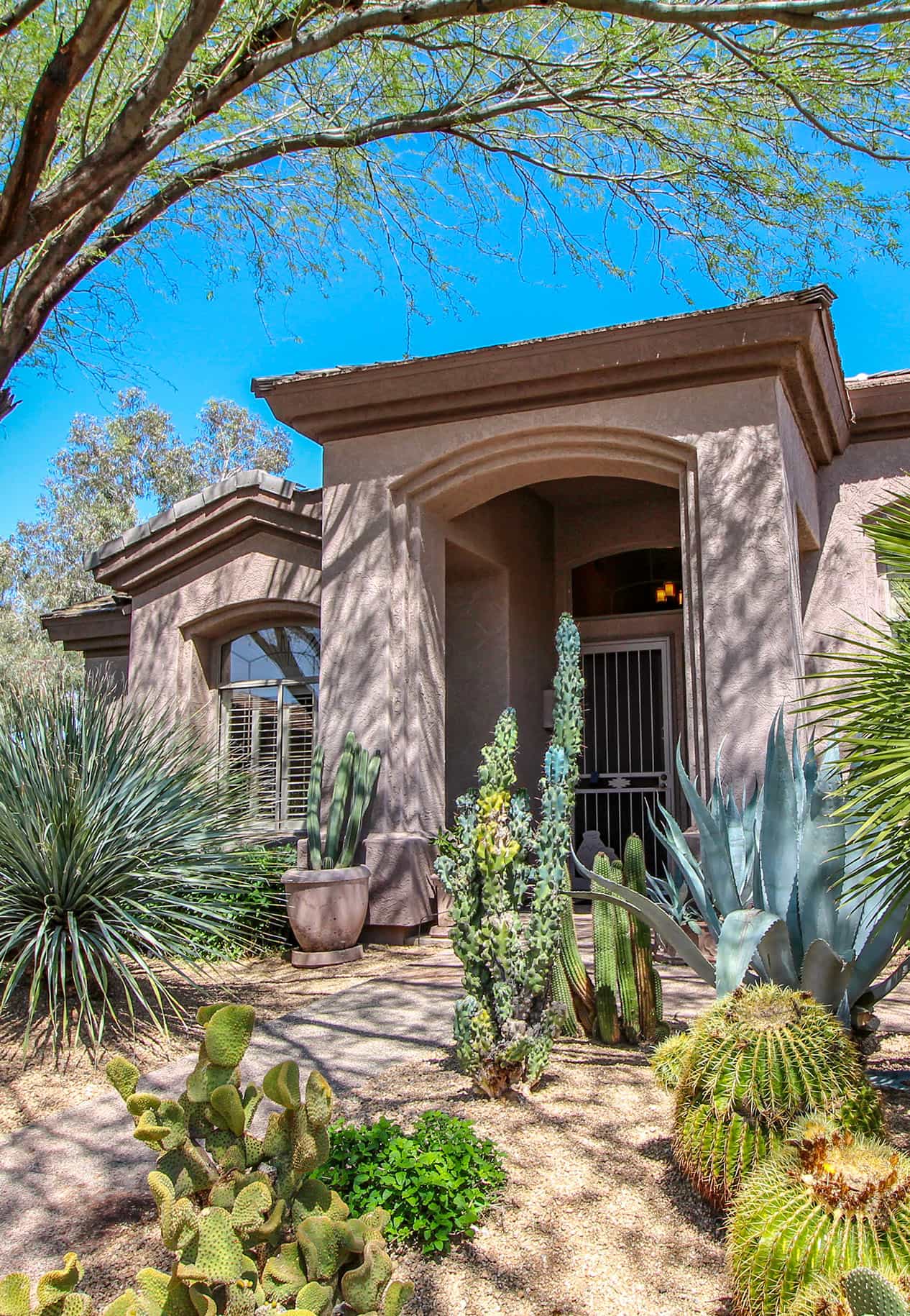 Planting Zones Explained | Moon Valley Nurseries