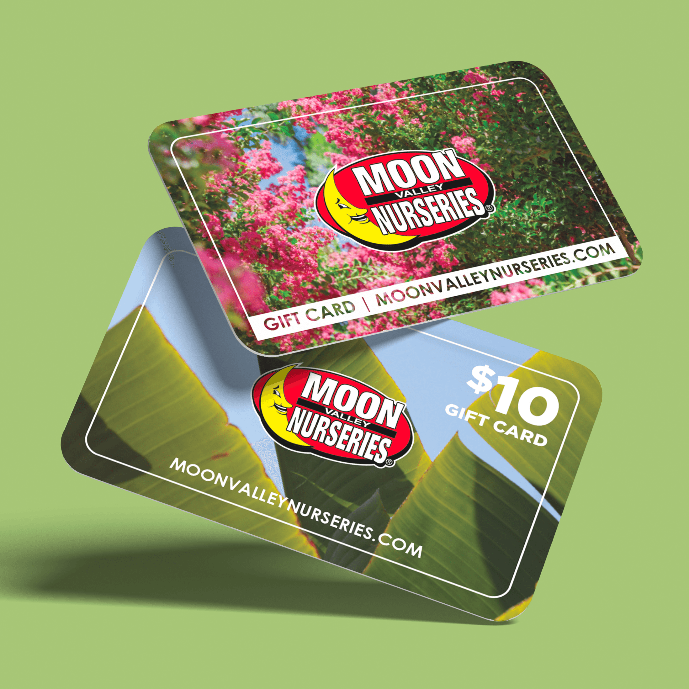 Find the Best Trees and Plants | Moon Valley Nurseriesa