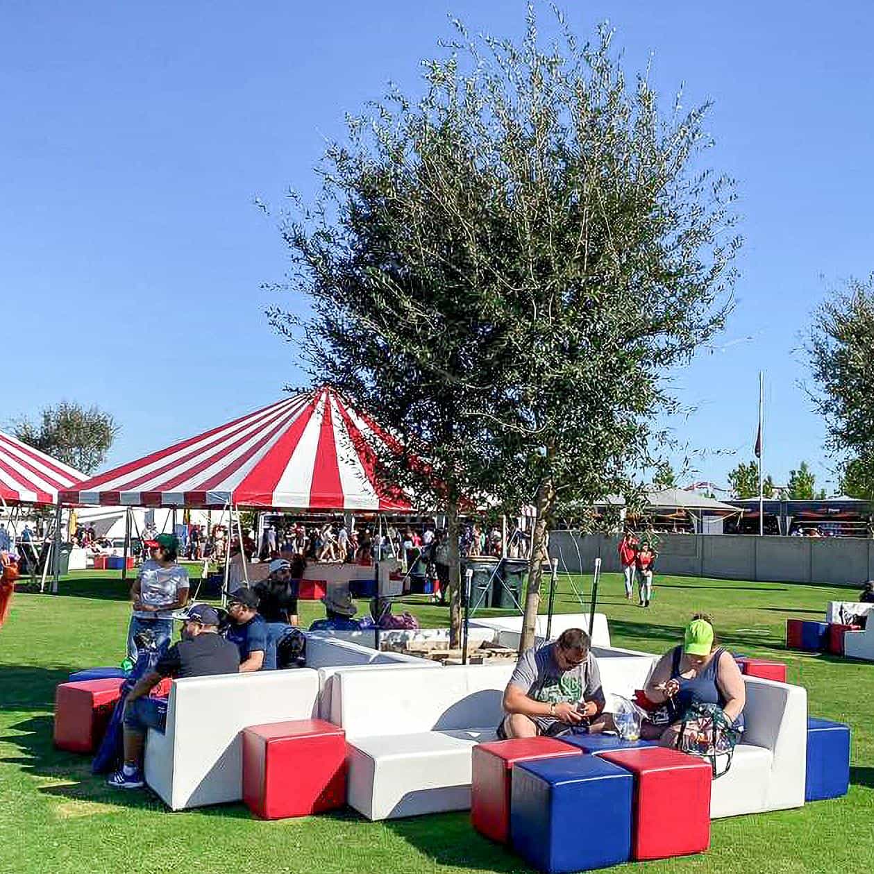 Tree Rental Service for an Occasion | Moon Valley Nurseries