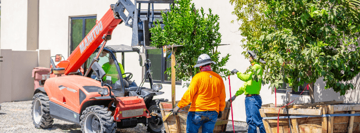 Flexible Financing Options | Moon Valley Nurseries