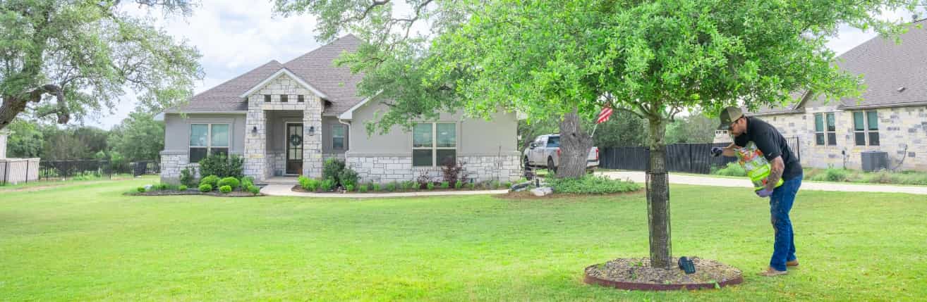 Replace & Refresh Your Trees | Moon Valley Nurseries