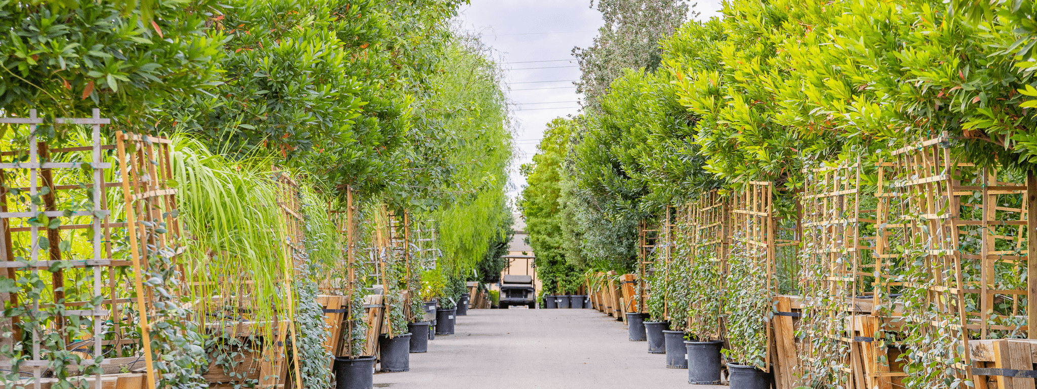 Moon Valley Nurseries