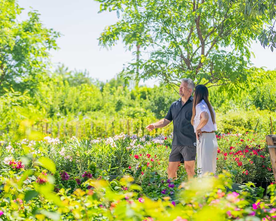 Moon Valley Nurseries Announces New Location in McKinney, TX