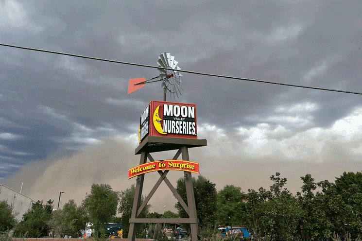 Press Releases and Announcements | Moon Valley Nurseries